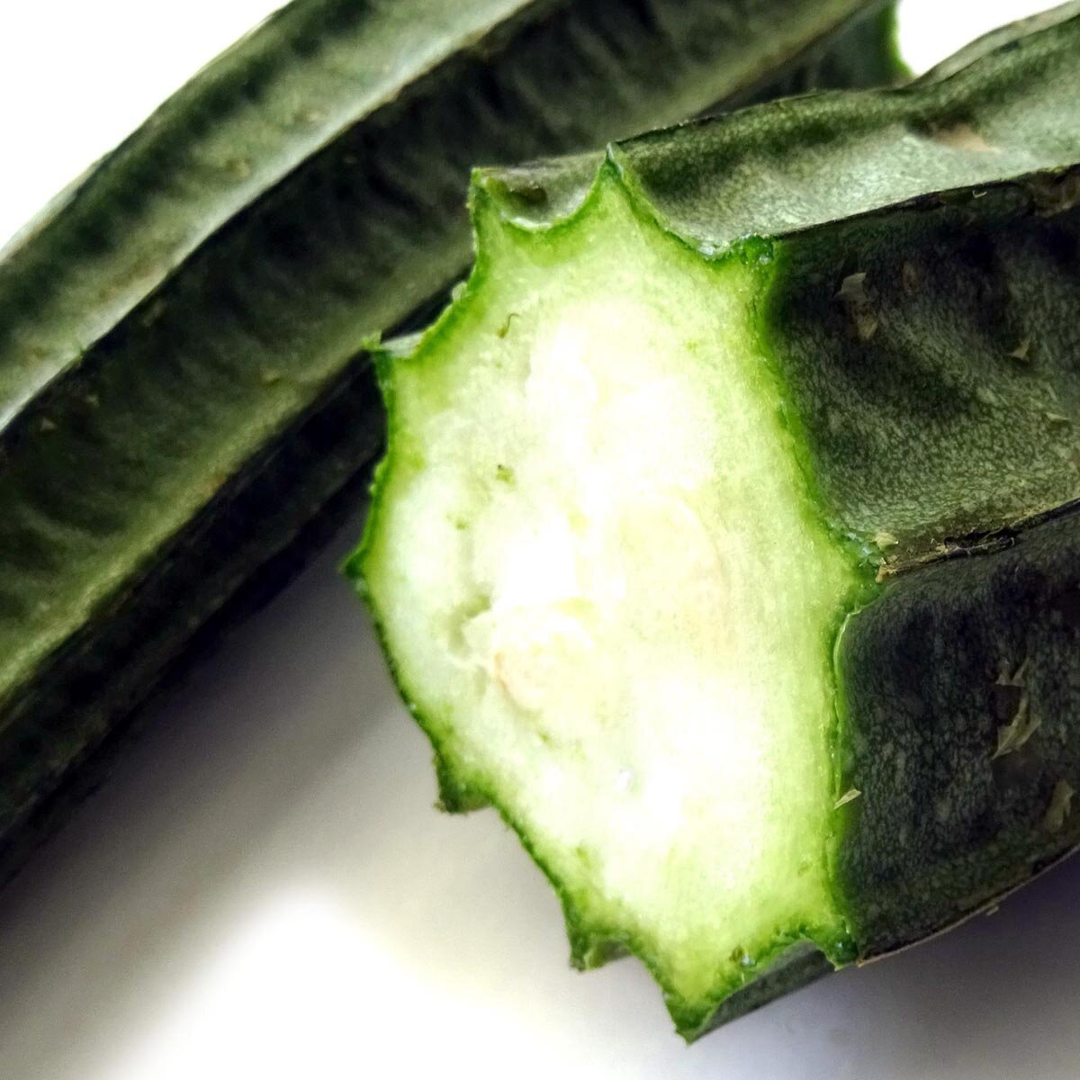 Courge éponge (Luffa cylindrica) graines