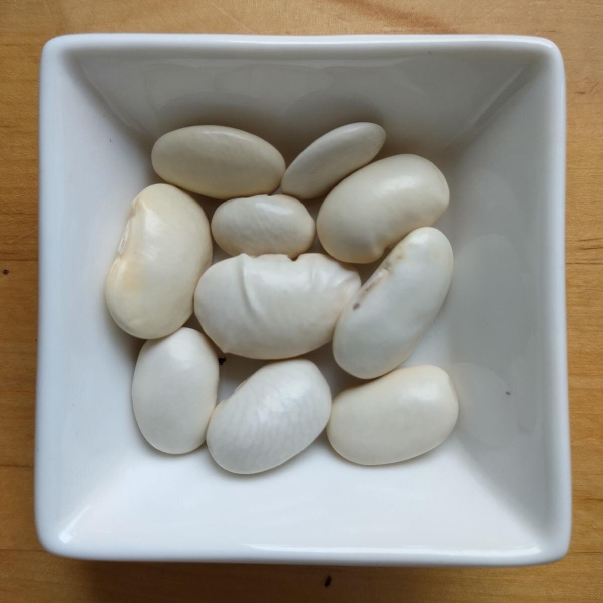 Haricots 'Gigantes' (Phaseolus coccineus) graines